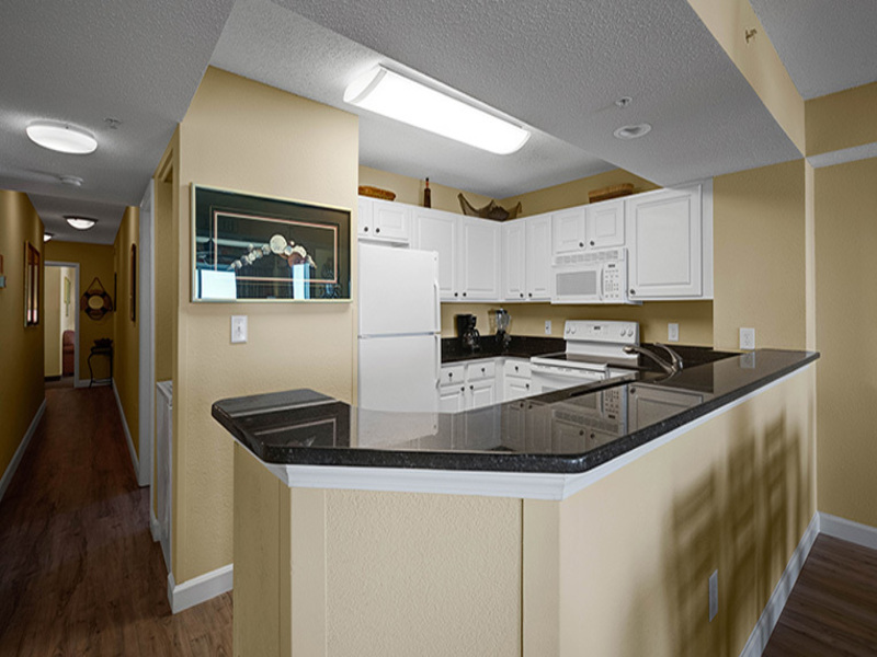 Myrtle Beach Tune Up 2024 Gallery